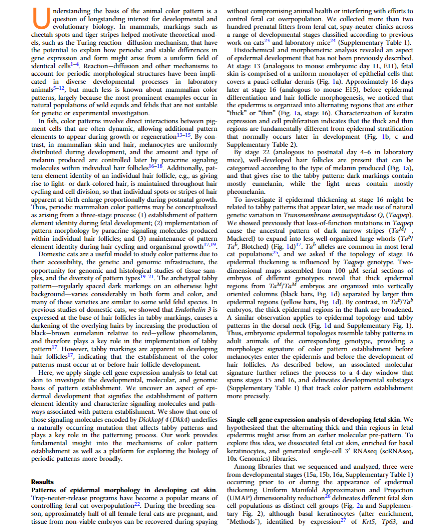 Identify at least one original question you have | Chegg.com