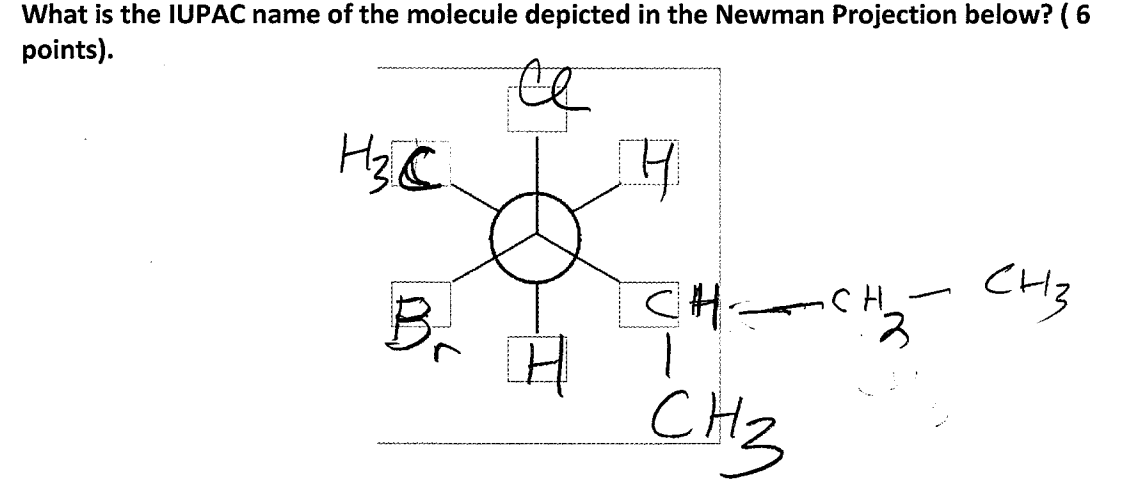Solved What is the IUPAC name of the molecule depicted in | Chegg.com