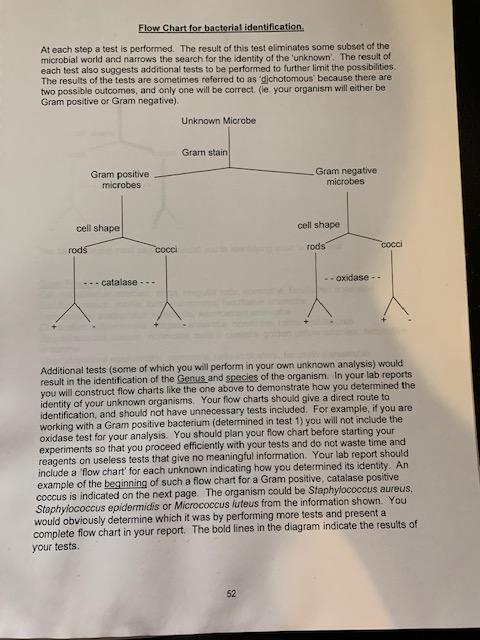 Solved Principles of Bacterial Identification In order to | Chegg.com