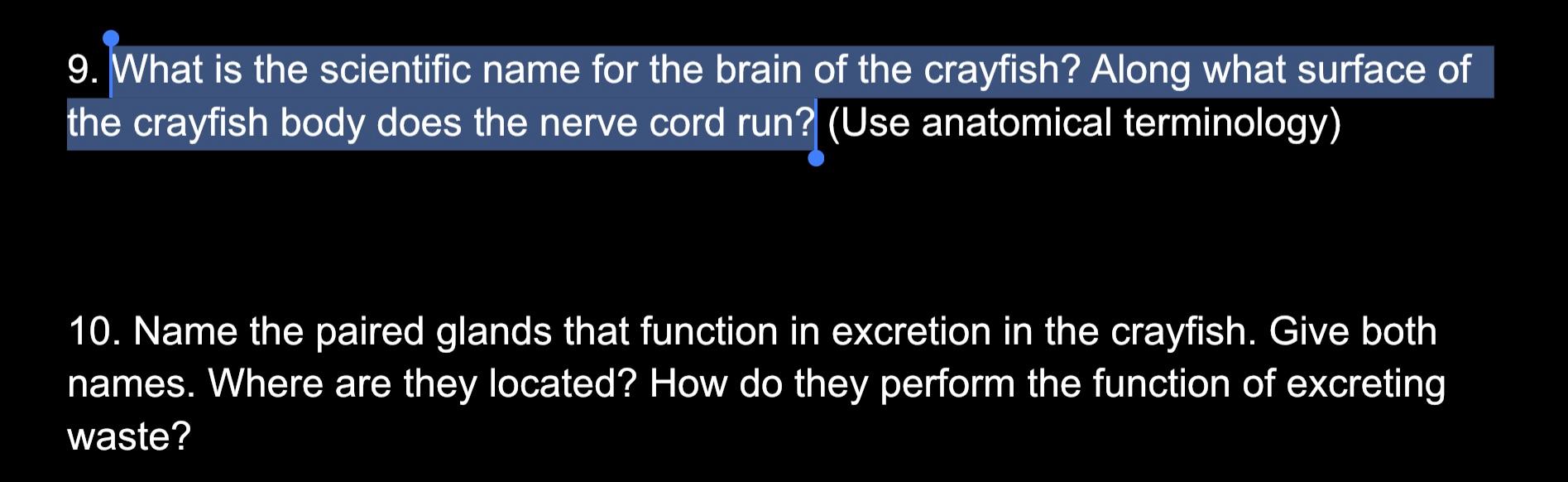 Solved 9. What is the scientific name for the brain of the | Chegg.com