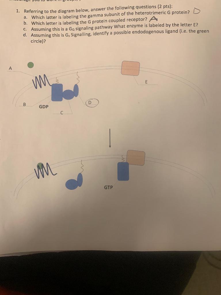 Solved 1. Referring to the diagram below, answer the | Chegg.com