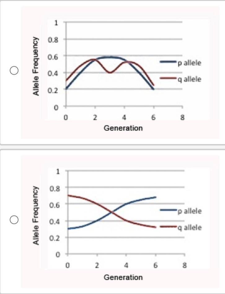 Solved 1.In a species of fish, an observable trait is | Chegg.com