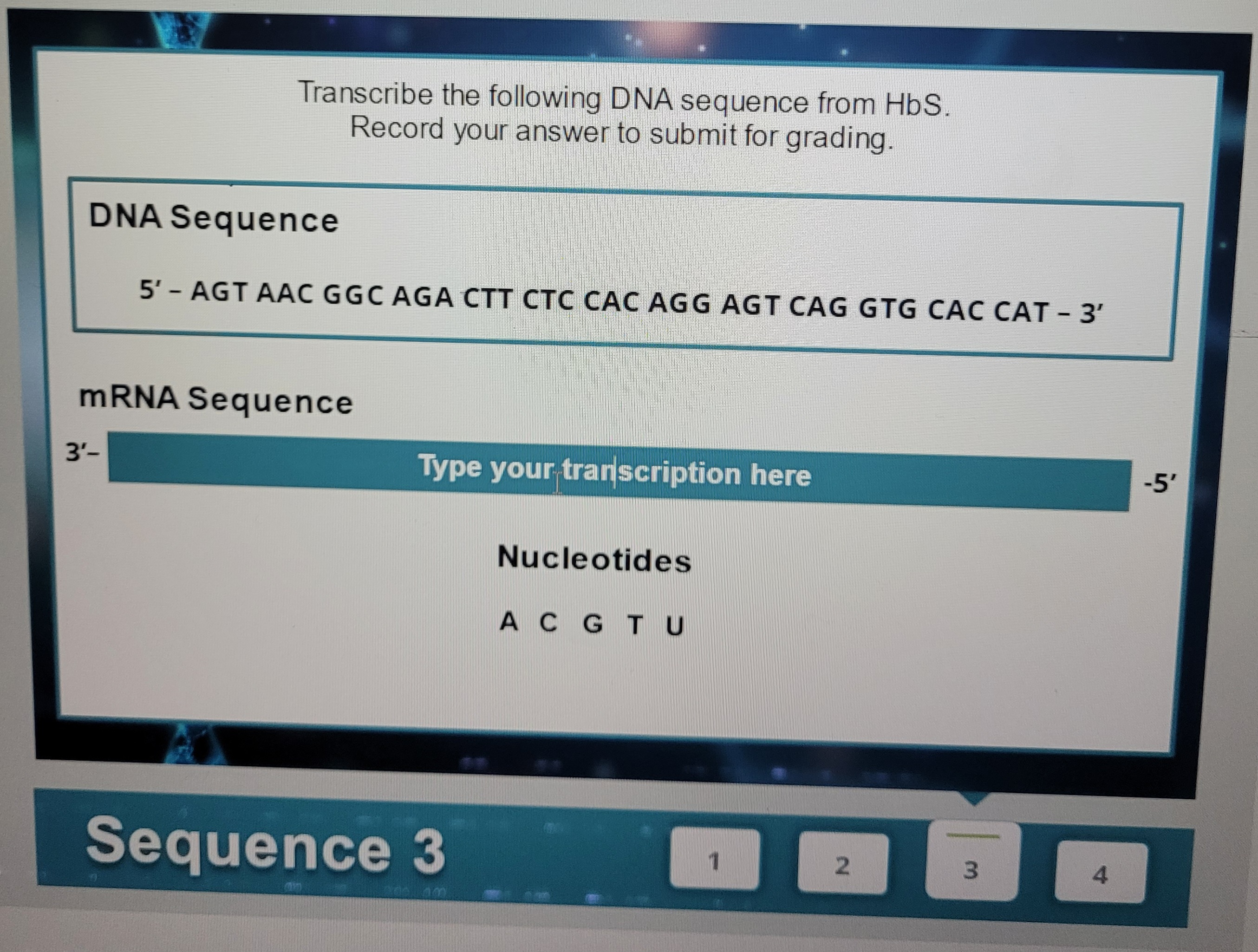 Solved Transcribe the following DNA sequence from HbS. | Chegg.com