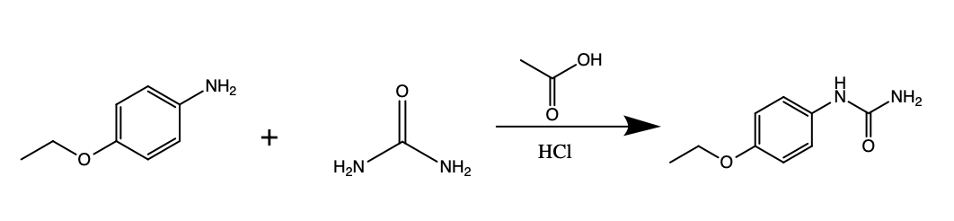 Solved What would the mechanism of the following equation | Chegg.com
