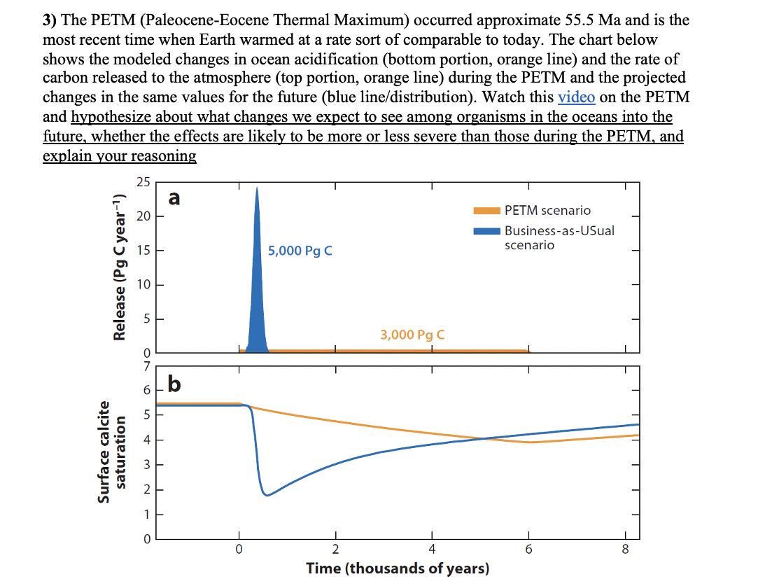 3) The PETM (Paleocene-Eocene Thermal Maximum) | Chegg.com