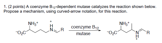 1. (2 points) A coenzyme B12-dependent mutase | Chegg.com