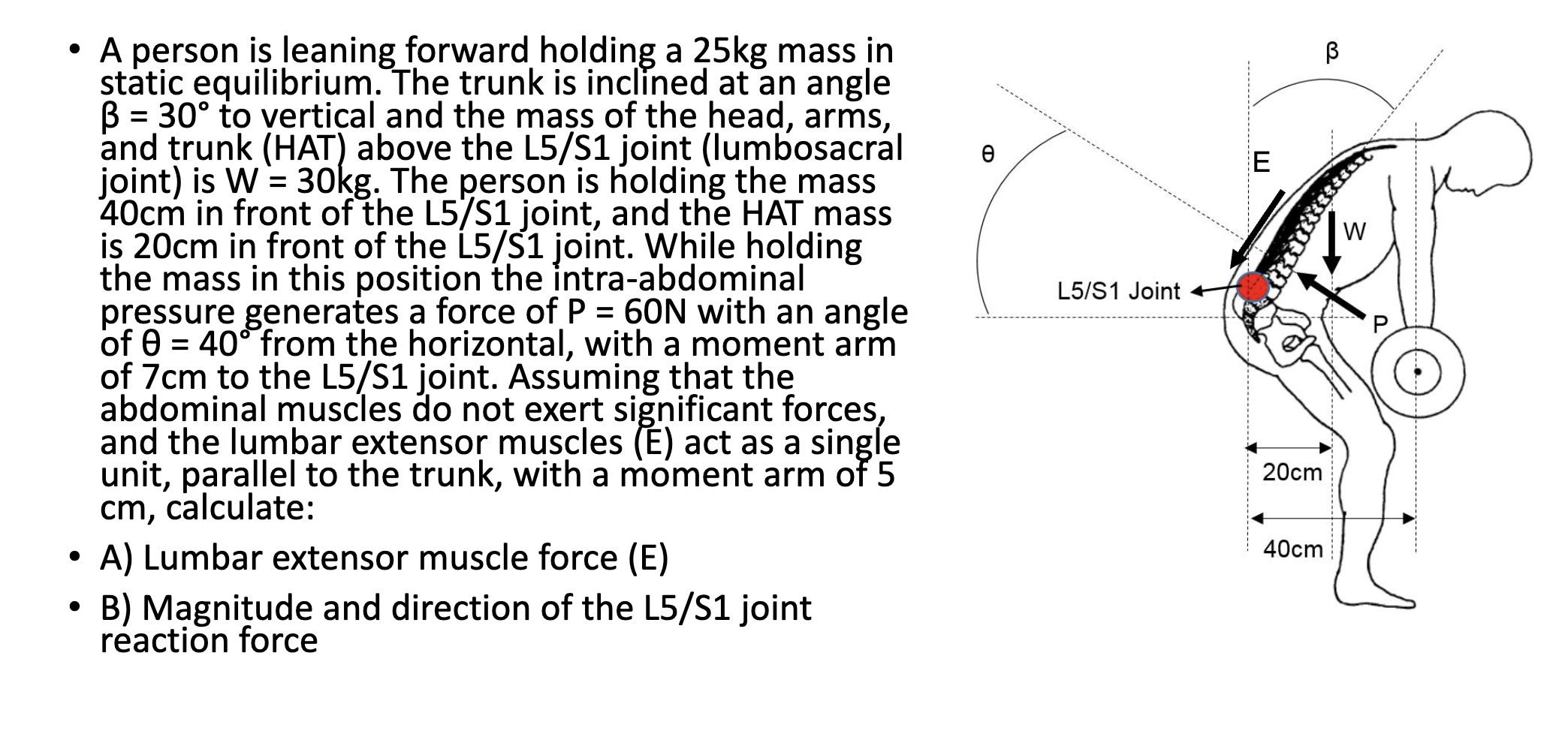 A person is leaning forward holding a 25 kg mass in | Chegg.com