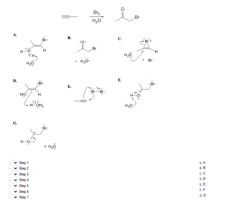 Solved Step 6 Step 7 | Chegg.com
