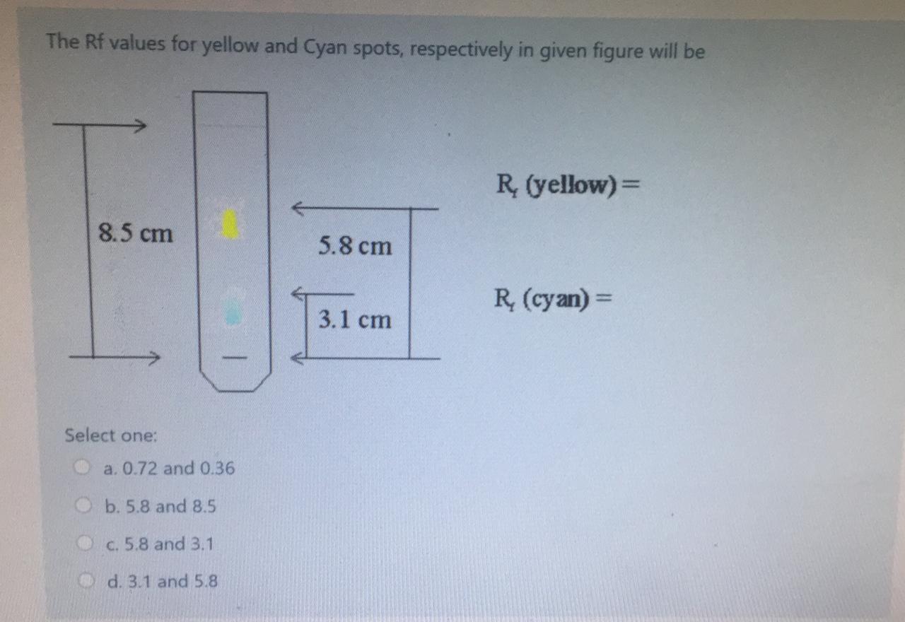 Solved The Rf values for yellow and Cyan spots, respectively | Chegg.com