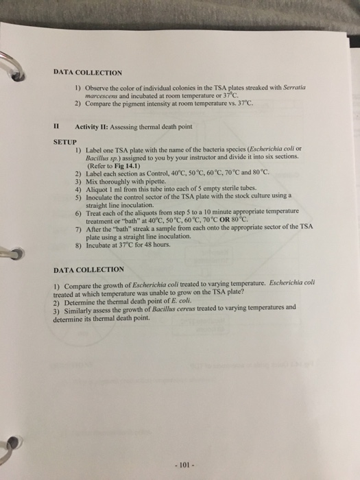Solved MODULE 13 EFFECTS OF TEMPERATURE OBJECTIVES Be | Chegg.com