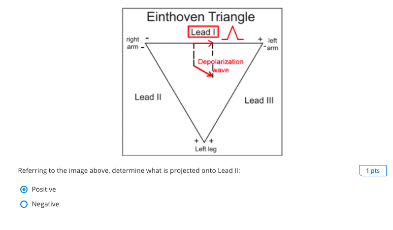 Solved Referring to the image above, determine what is | Chegg.com