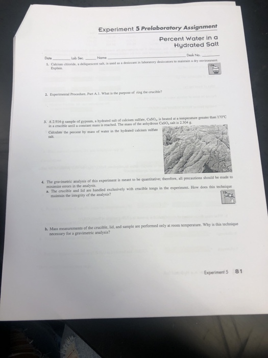 Solved Experiment 5 Prelaboratory Assignment Percent Water | Chegg.com