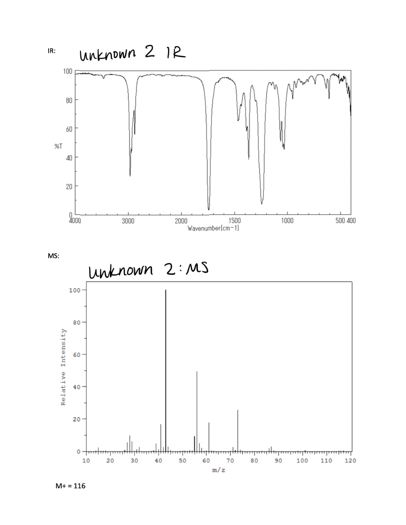 Solved 7. On the next pages, you will find NMR, IR and MS | Chegg.com