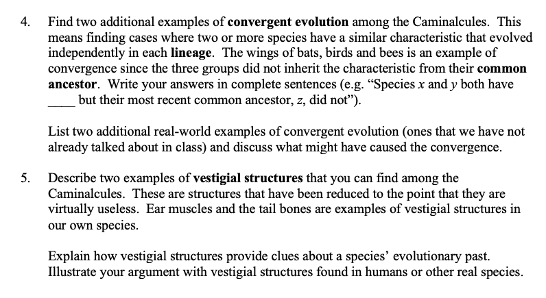 Solved 4. Find two additional examples of convergent | Chegg.com