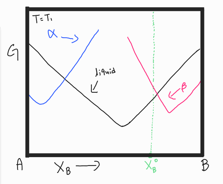Solved we give a free energy composition curve of liquid and | Chegg.com