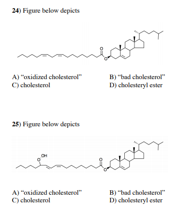 Solved 24) Figure below depicts ab A) "oxidized cholesterol" | Chegg.com