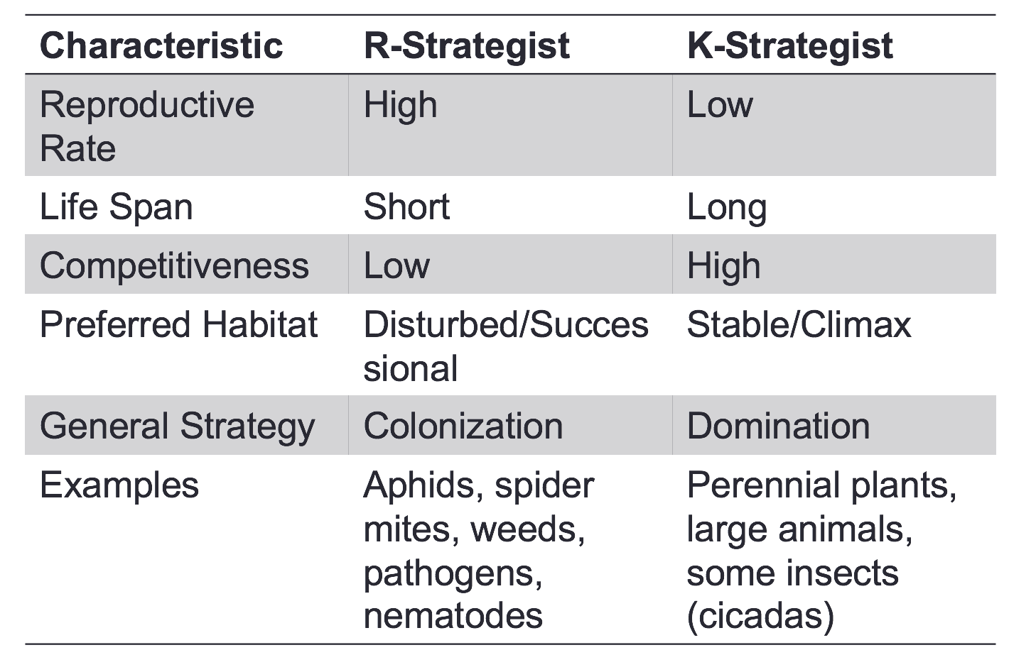 R Strategist Examples