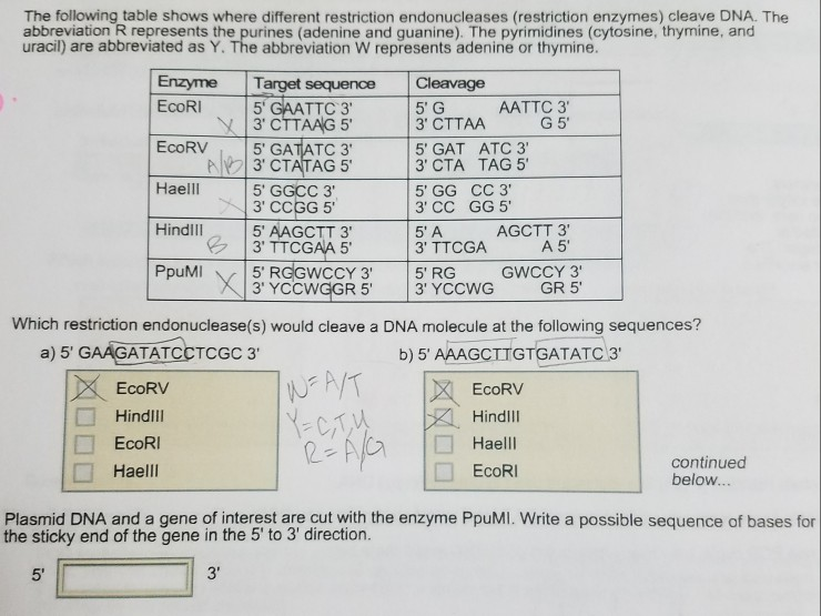 Solved The following table shows where different restriction | Chegg.com