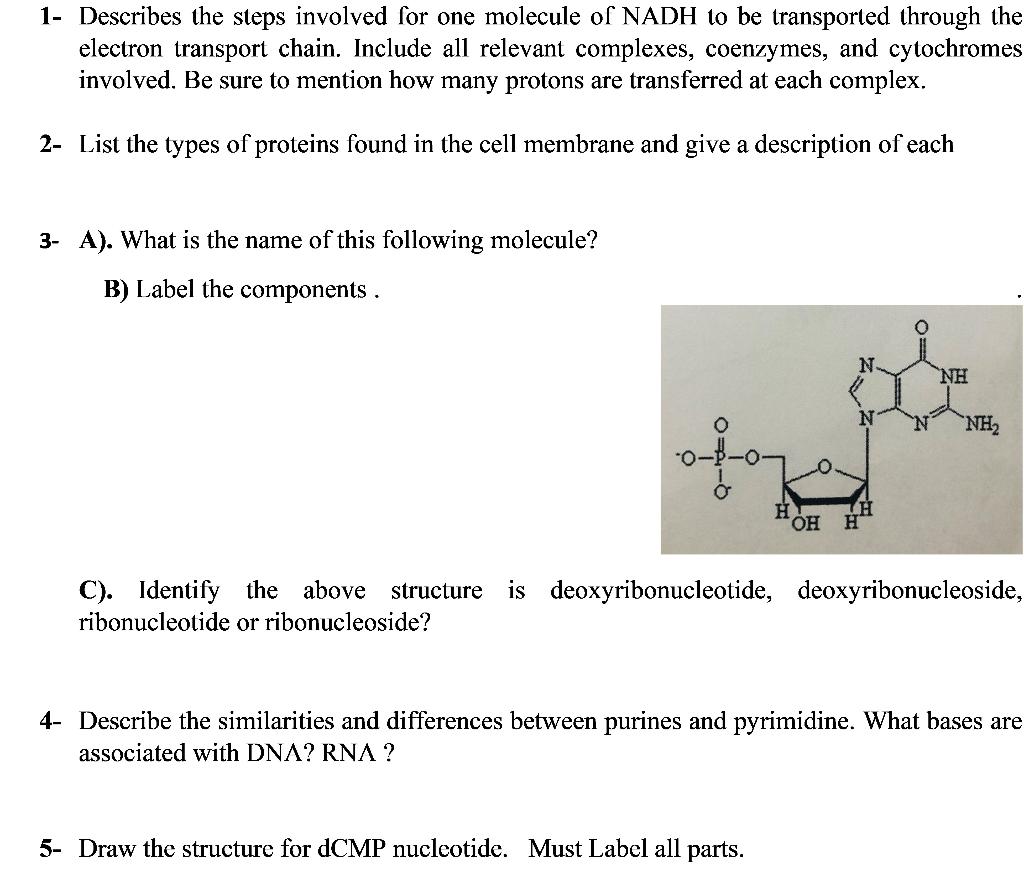 Solved Please answer all the following FIVE (5) questions. | Chegg.com