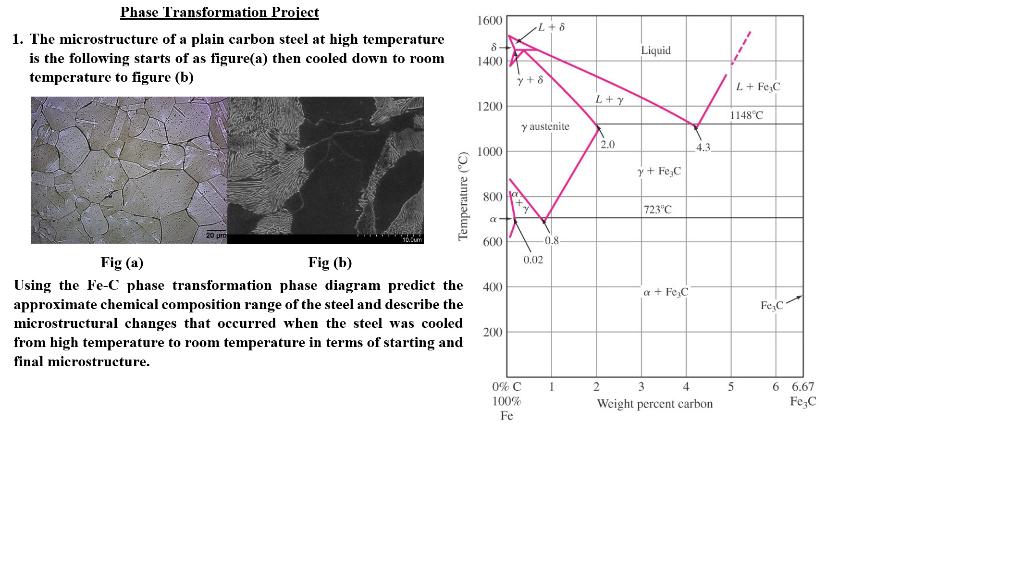Solved Phase Transformation Project 1. The microstructure of | Chegg.com