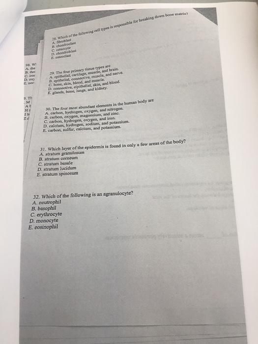 Solved Which of the following cell types is responsible for | Chegg.com