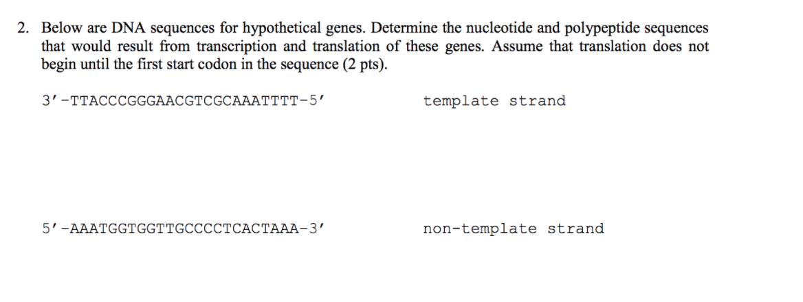 Solved 2. Below are DNA sequences for hypothetical genes. | Chegg.com