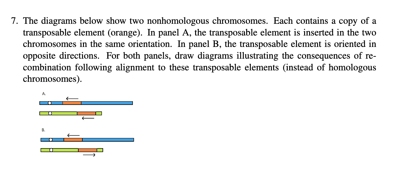 Solved The diagrams below show two nonhomologous | Chegg.com