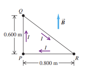 Solved The triangular loop of wire shown in the figure | Chegg.com