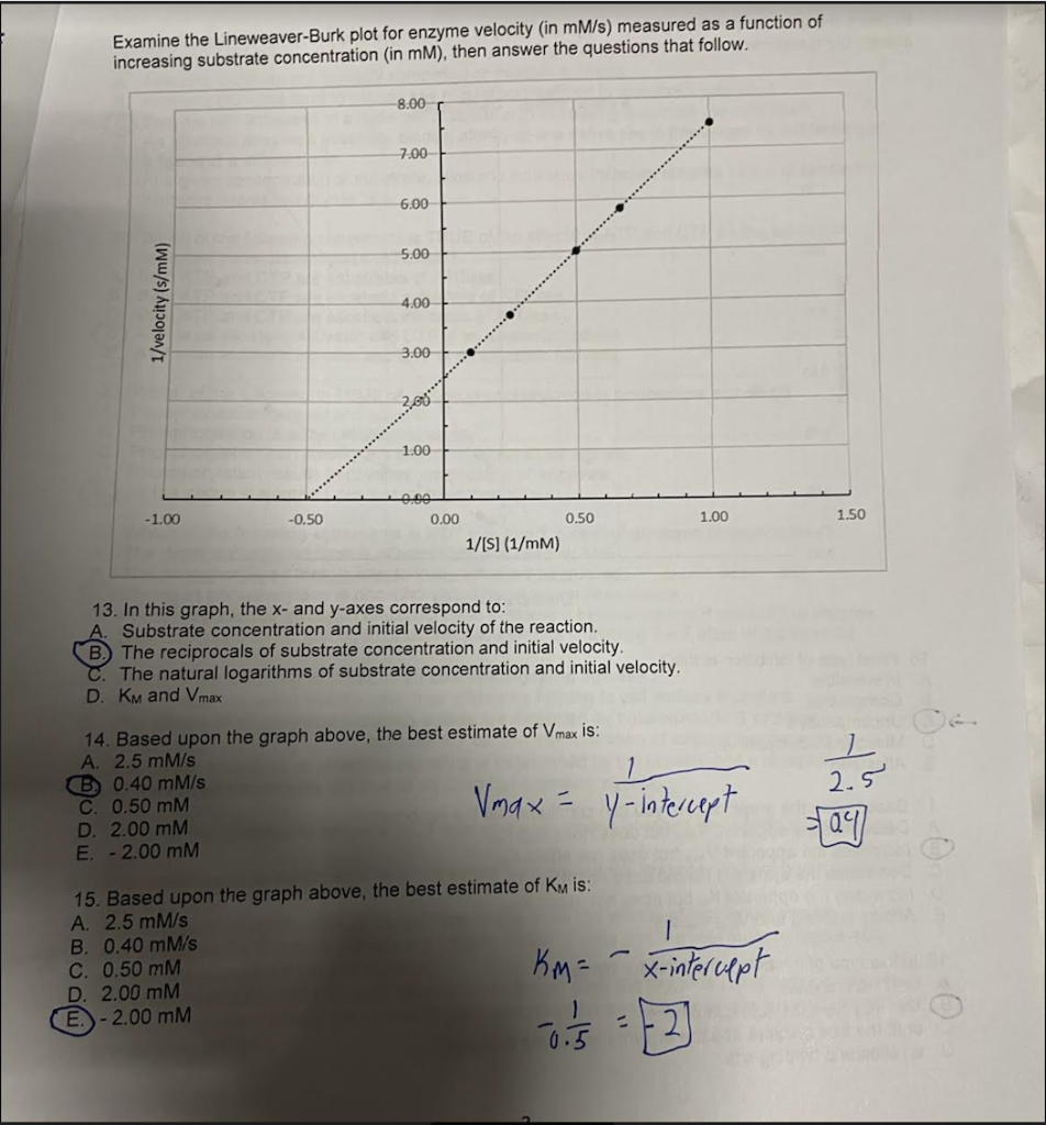 Solved Examine the Lineweaver-Burk plot for enzyme velocity | Chegg.com