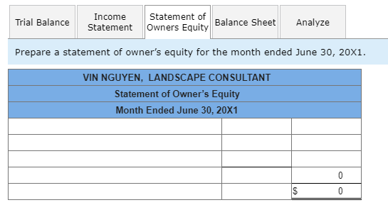 Solved The accountant for the firm owned by Vin Nguyen | Chegg.com