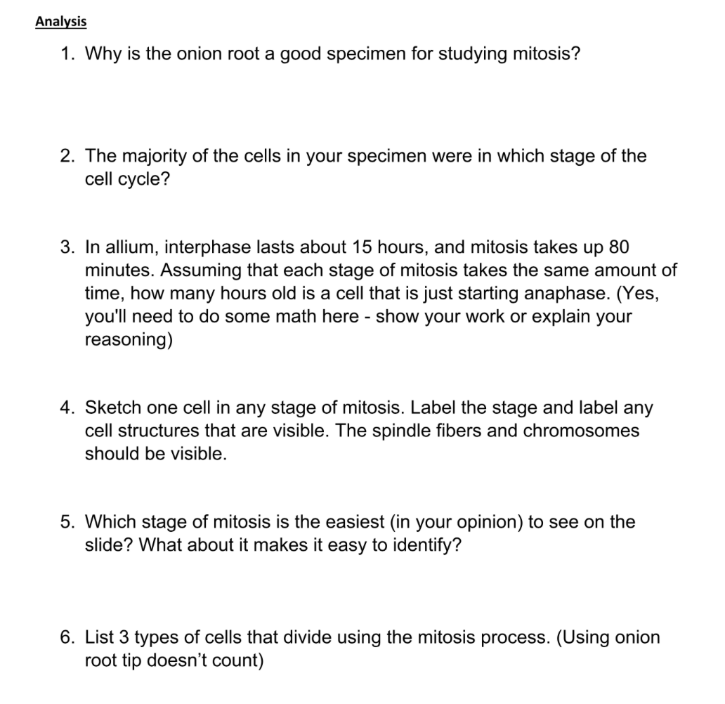 Solved Stages of Mitosis Lab This image is the view you | Chegg.com