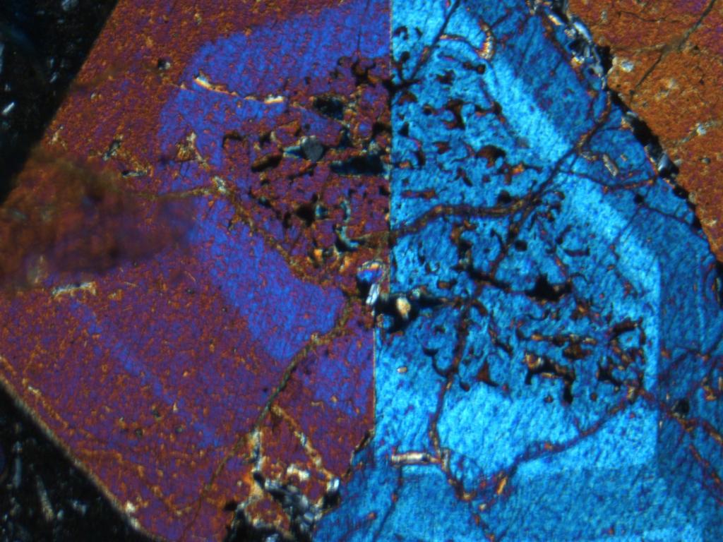 Solved The following image (XPL x4) contains (just about) | Chegg.com