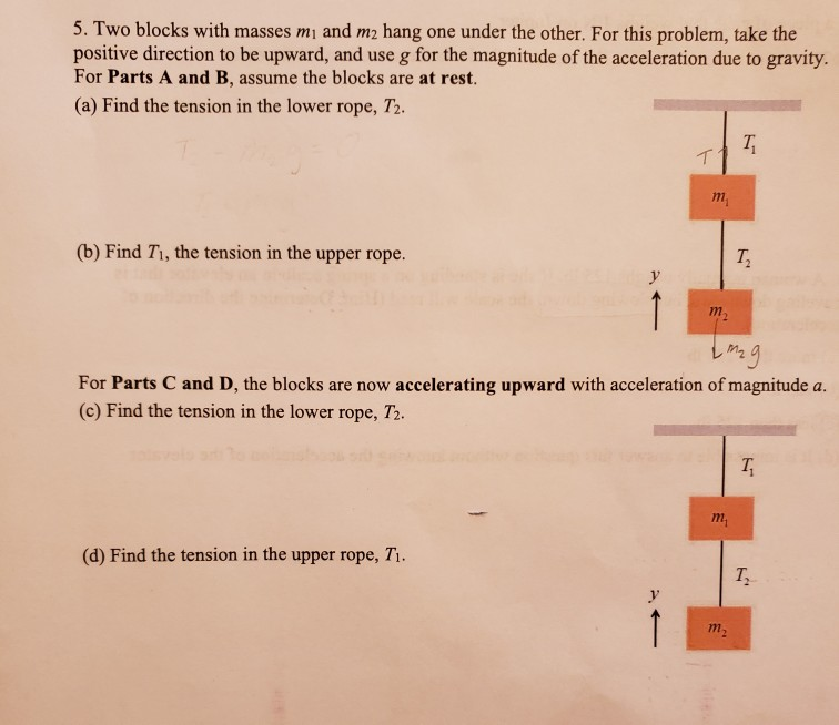 Solved 5. Two blocks with masses mi and m2 hang one under | Chegg.com