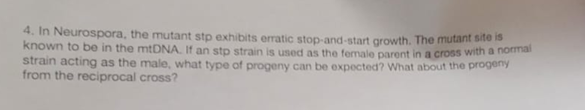 Solved In Neurospora, the mutant stp exhibits erratic | Chegg.com
