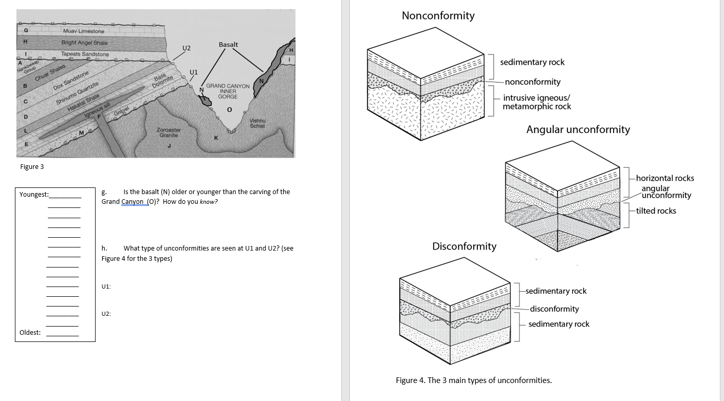 Solved Nonconformity G Muav Limestone H Bright Angel Shale | Chegg.com
