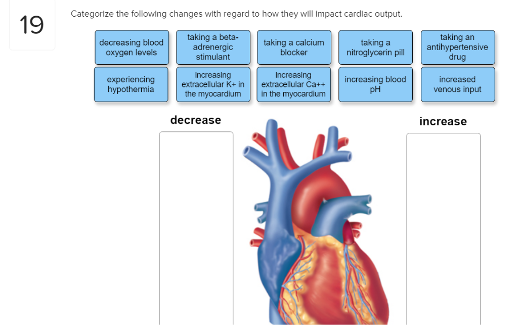 Solved Categorize the following changes with regard to how | Chegg.com
