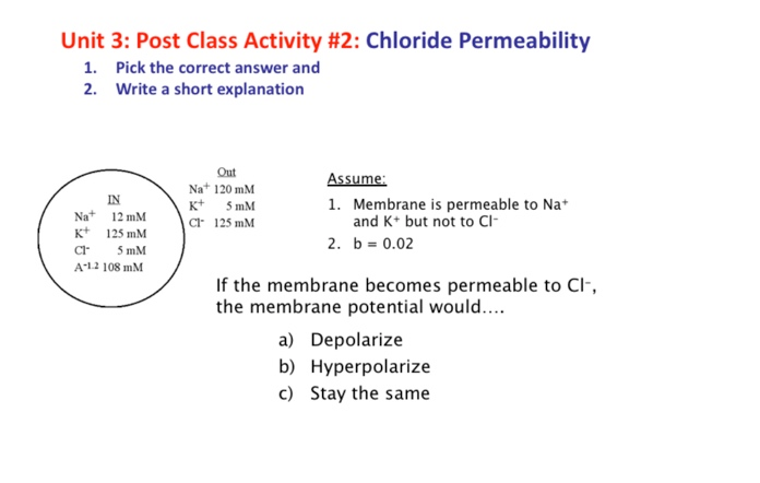 Solved Unit 3: Post Class Activity #2: Chloride Permeability | Chegg.com