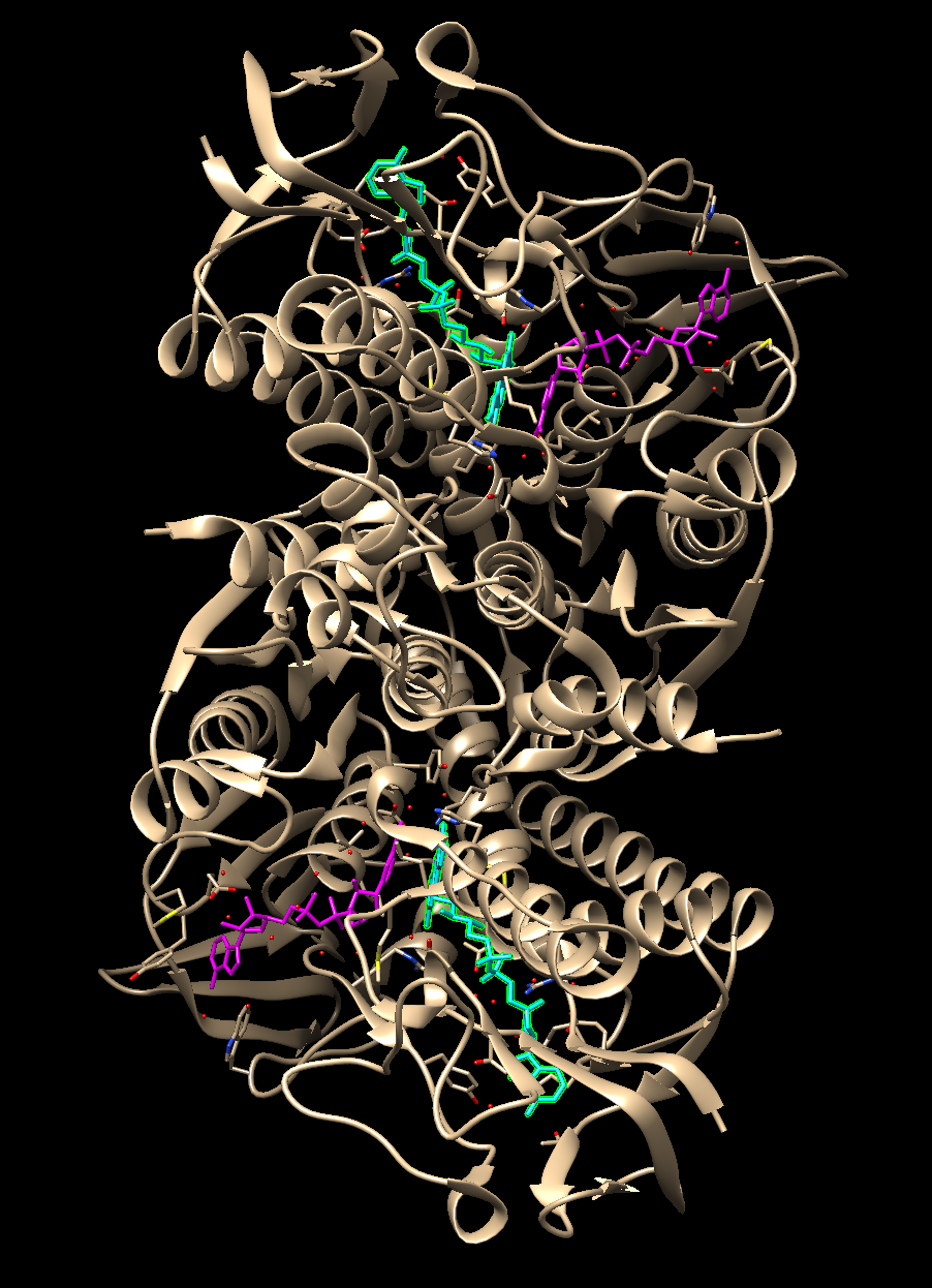 Solved Question 1 3 pts Lipoamide dehydrogenase catalyzes a | Chegg.com