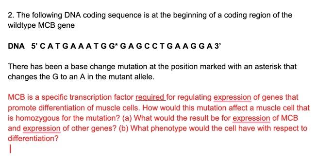 Solved 2. The following DNA coding sequence is at the | Chegg.com
