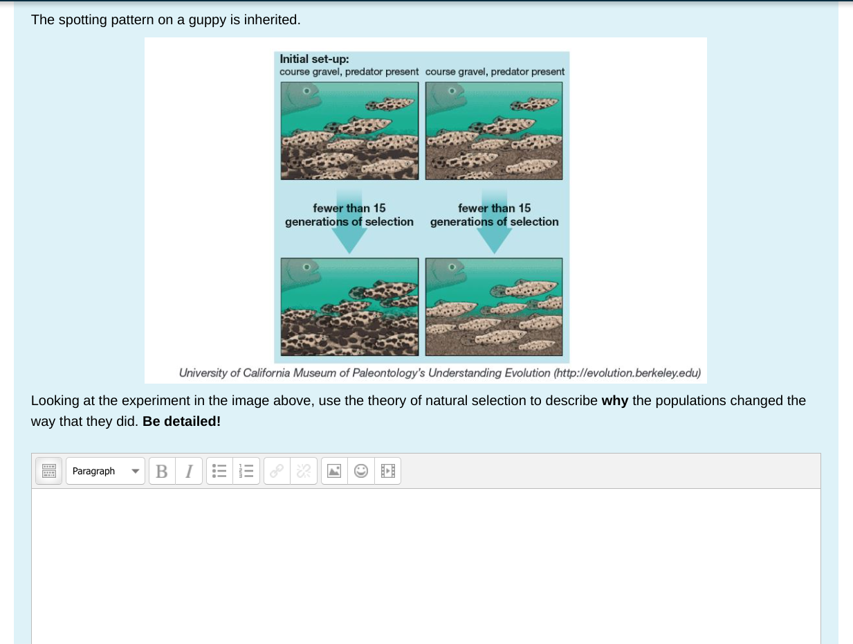 Solved The spotting pattern on a guppy is inherited. Initial | Chegg.com