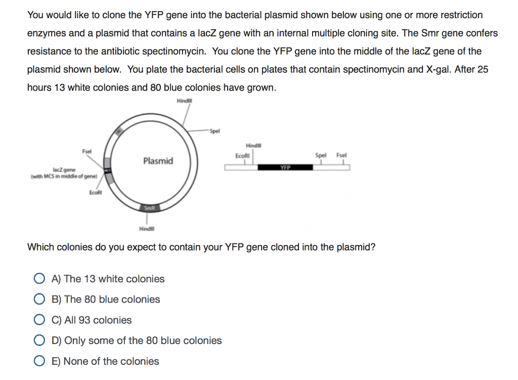 Solved You would like to clone the YFP gene into the | Chegg.com