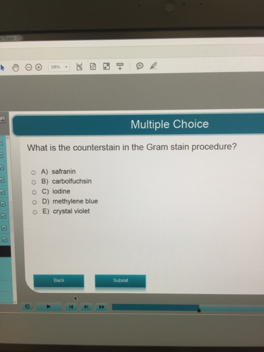 Solved Multiple Choice What is the counterstain in the Gram | Chegg.com