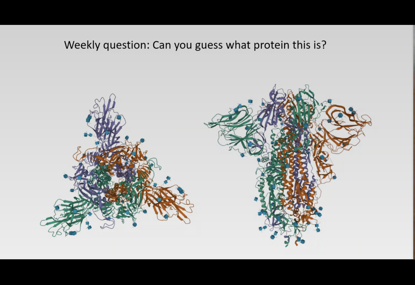 Solved Weekly question: Can you guess what protein this is? | Chegg.com