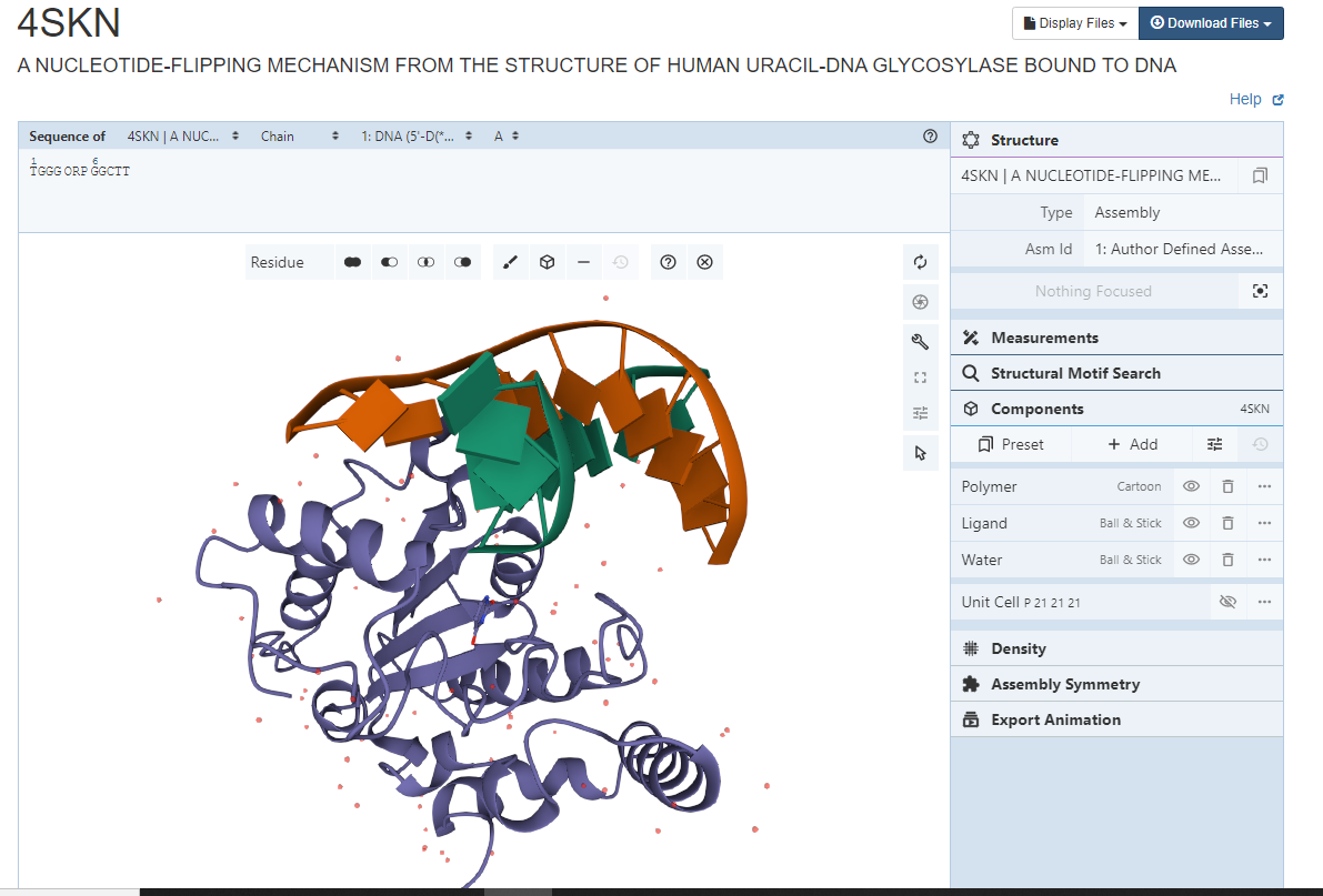 Solved View and analyze these structures using tools such as | Chegg.com