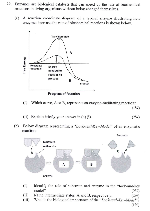 Solved 22. Enzymes are biological catalysts that can speed | Chegg.com