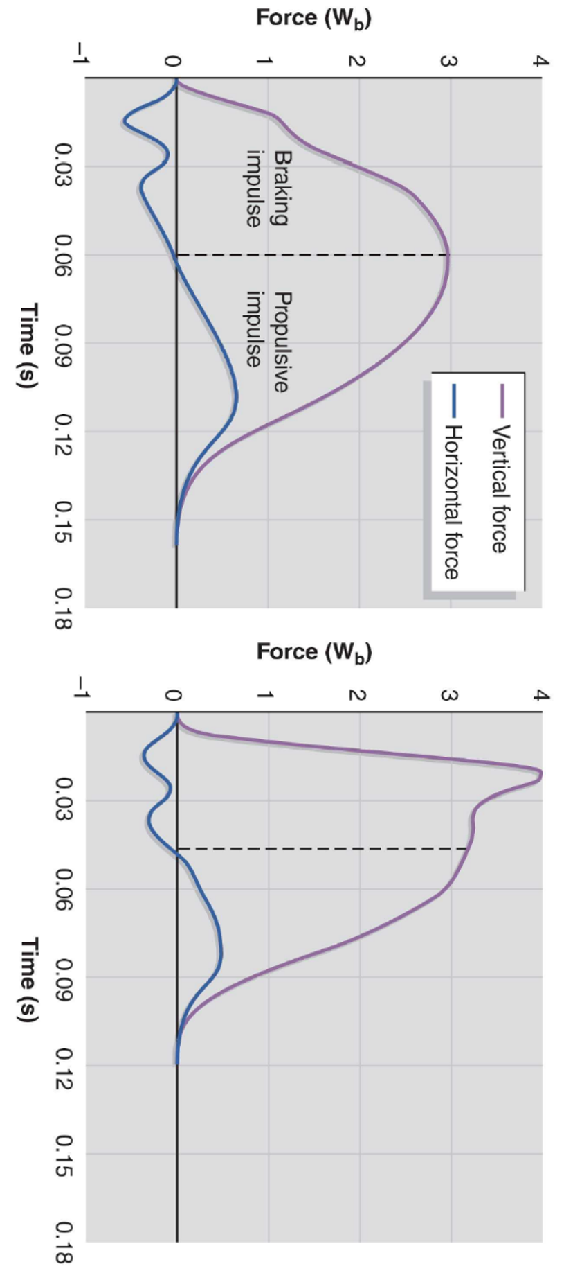 Solved Figure 1 is showing the ground reaction force | Chegg.com