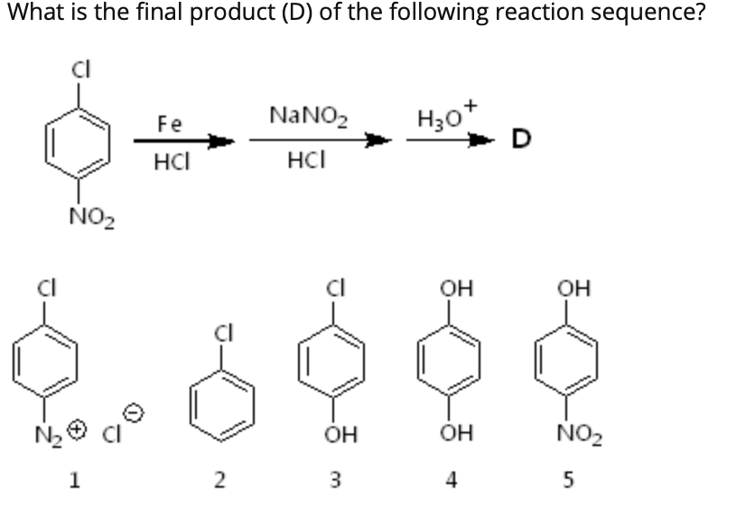 Solved What is the final product (D) of the following | Chegg.com