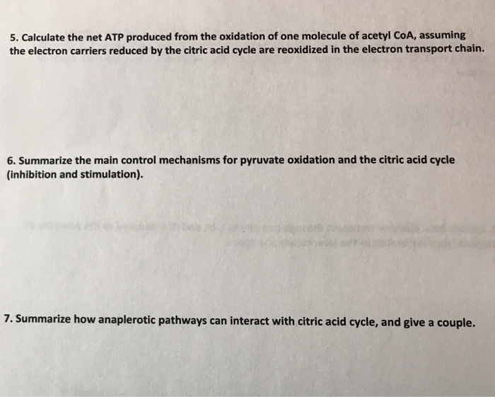 Solved Calculate the net ATP produced from the oxidation of | Chegg.com
