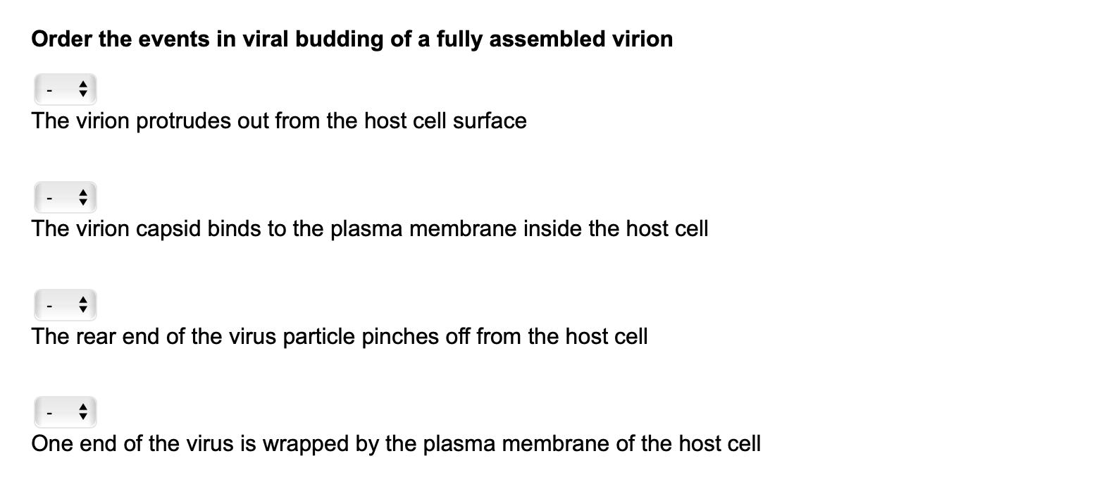Solved Order the events in viral budding of a fully | Chegg.com