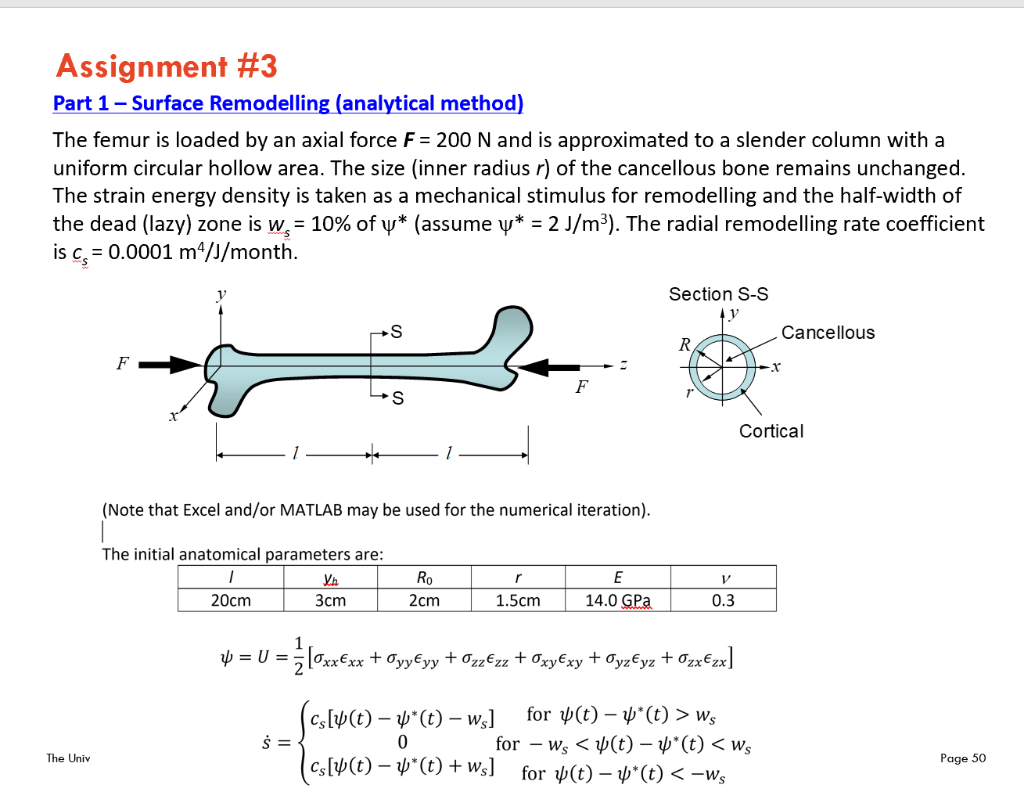 Assignment #3 Part 1-Surface Remodelling (analytical | Chegg.com
